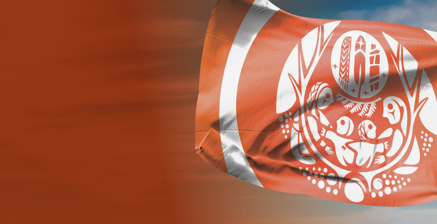 Survivors’ Flag - Vincent Design Inc.