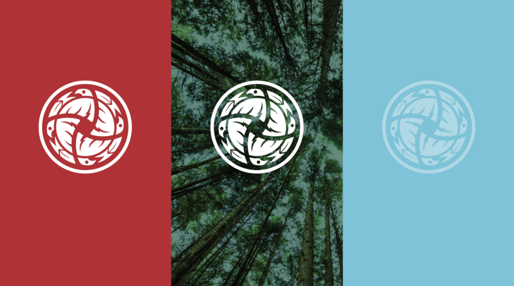 Indigenous Clean Energy - Vincent Design Inc.